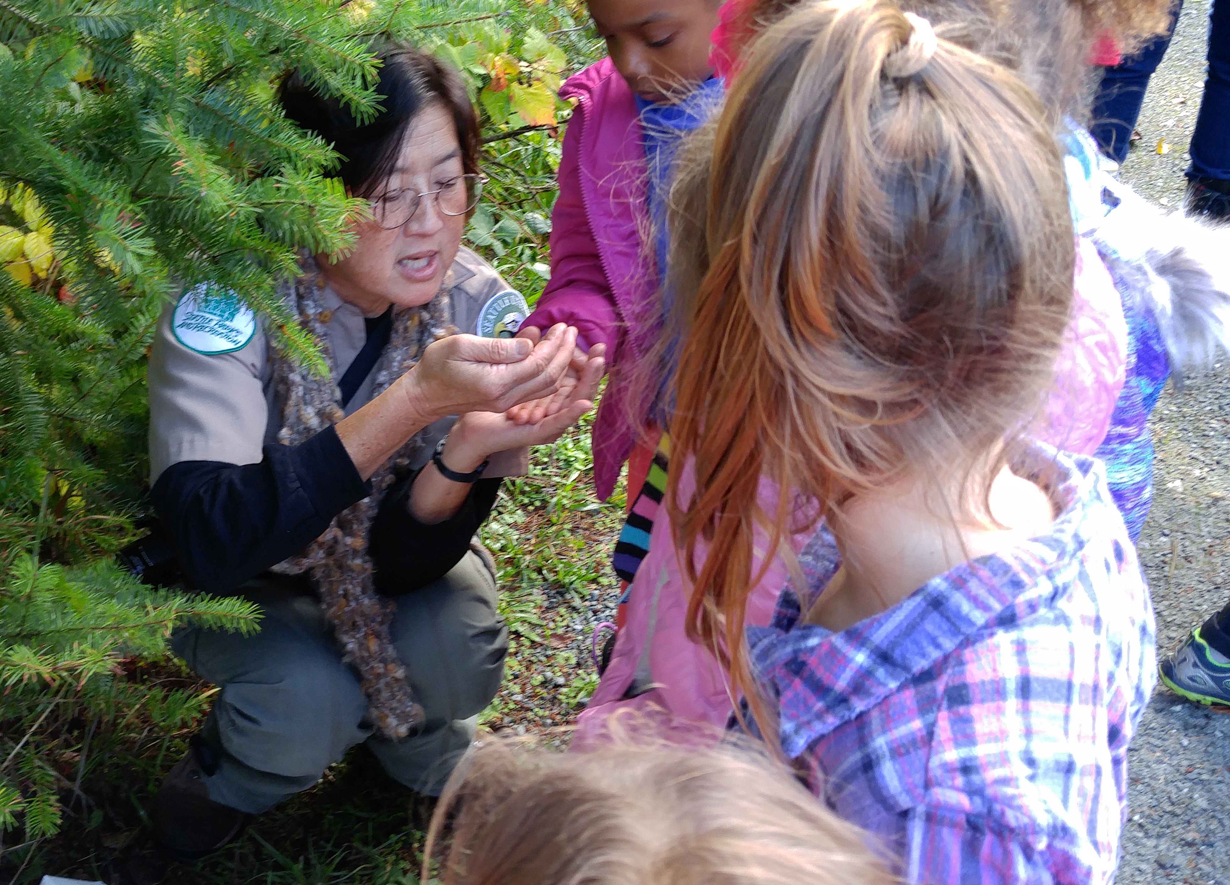 Volunteers needed for Seattle Urban Nature Guides | Westside Seattle